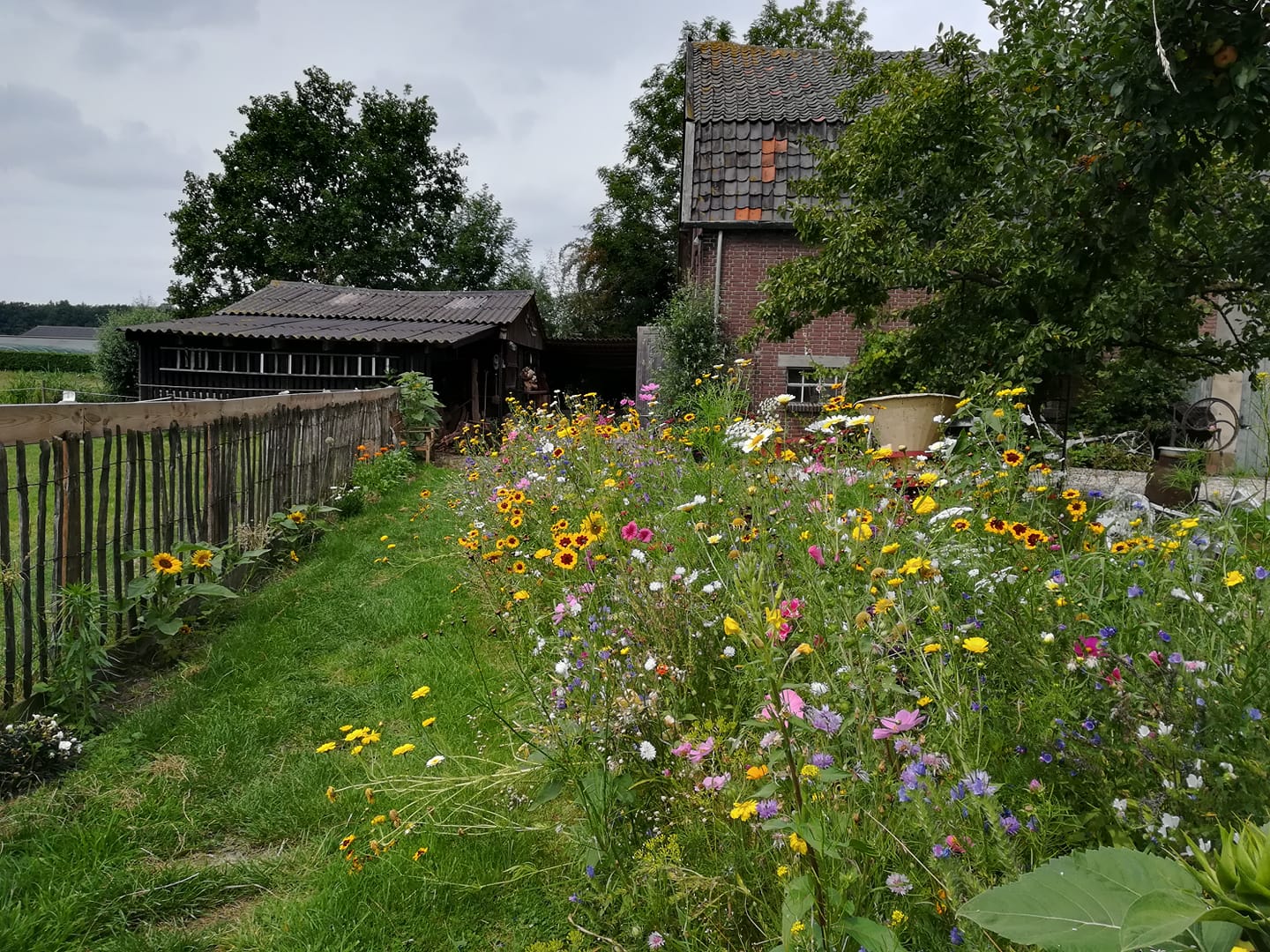 Home [natuurlijkewijsheid.com]